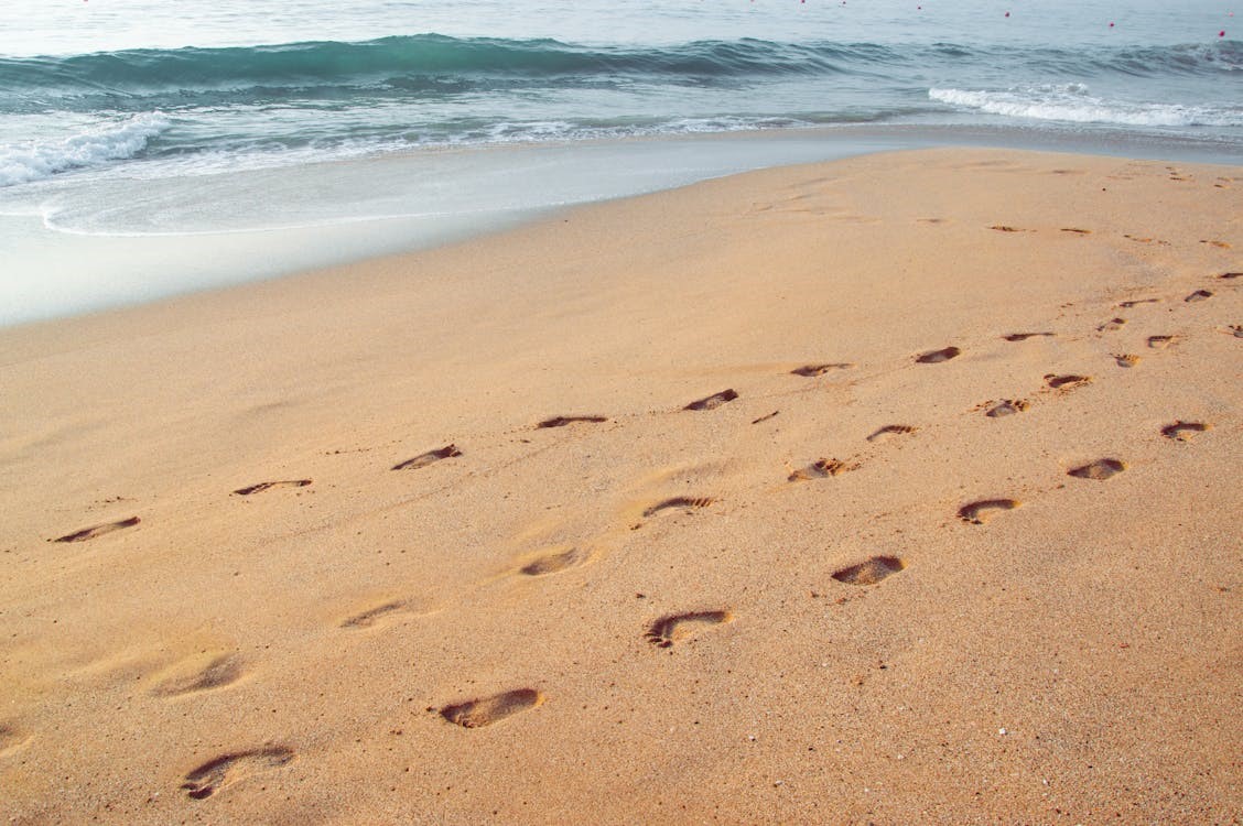 Transcription Factor Footprinting with Fiber-Seq – Tumor Genetics Blog